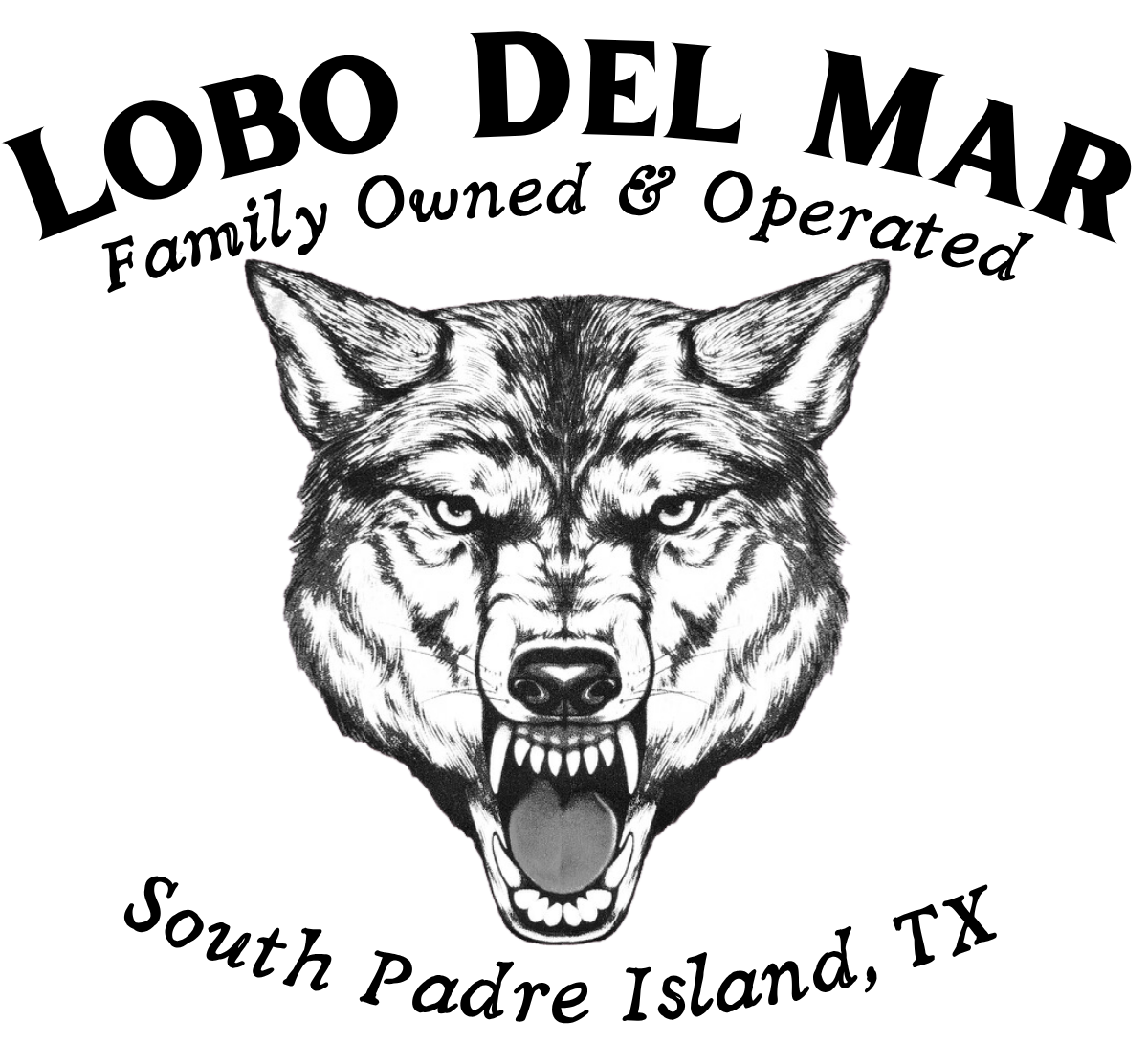 Home | Lobo Del Mar Cafe